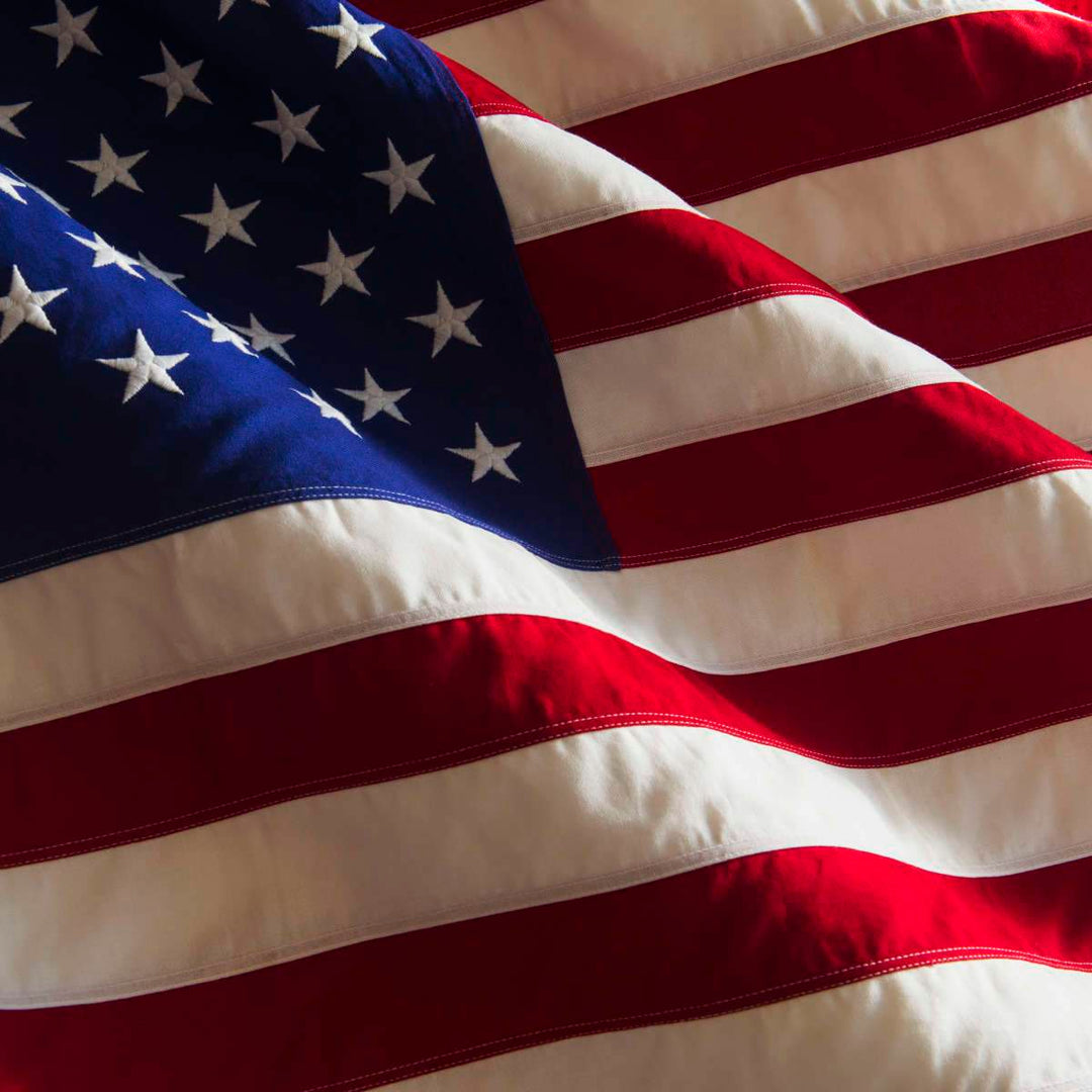 American Allies Flags Wall art | Elephant Stock