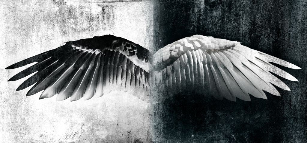 Black Angel Wings Wallpaper