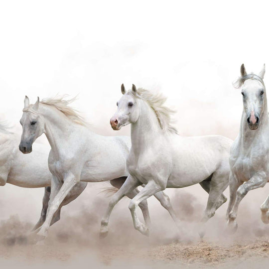 Horses In The Desert Wall art | Elephant Stock