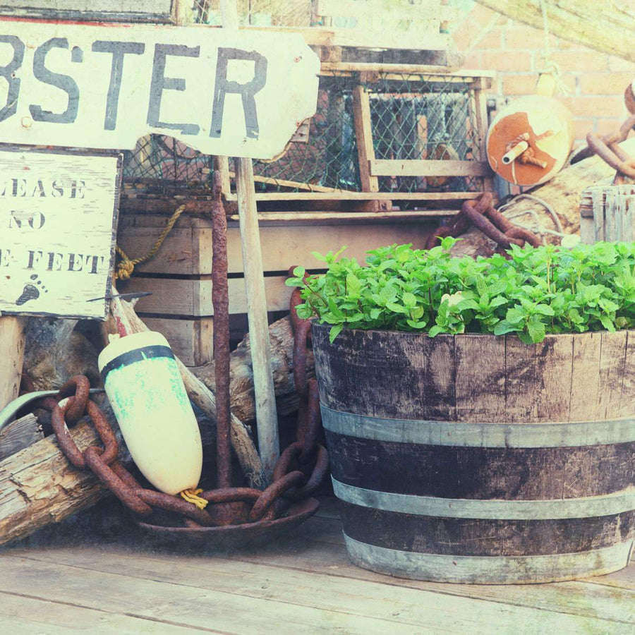 Prospect Light Panoramica II Color Wall art by Moises Levy | Elephant Stock