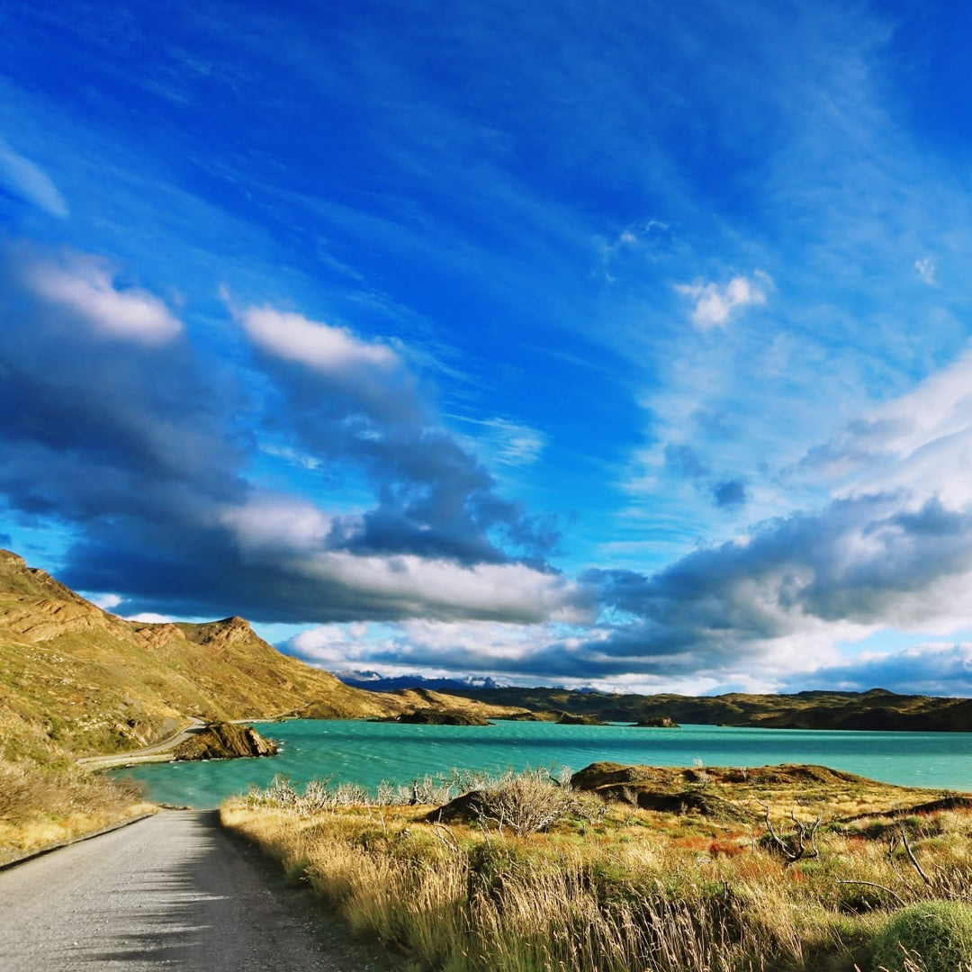 Mischievous Shark Wall art | Elephant Stock