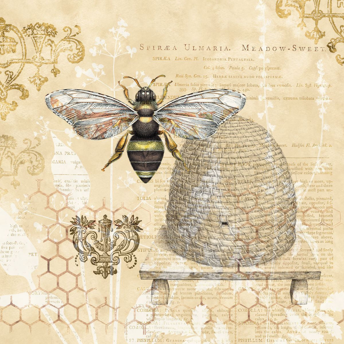 Vintage Beehive Drawing