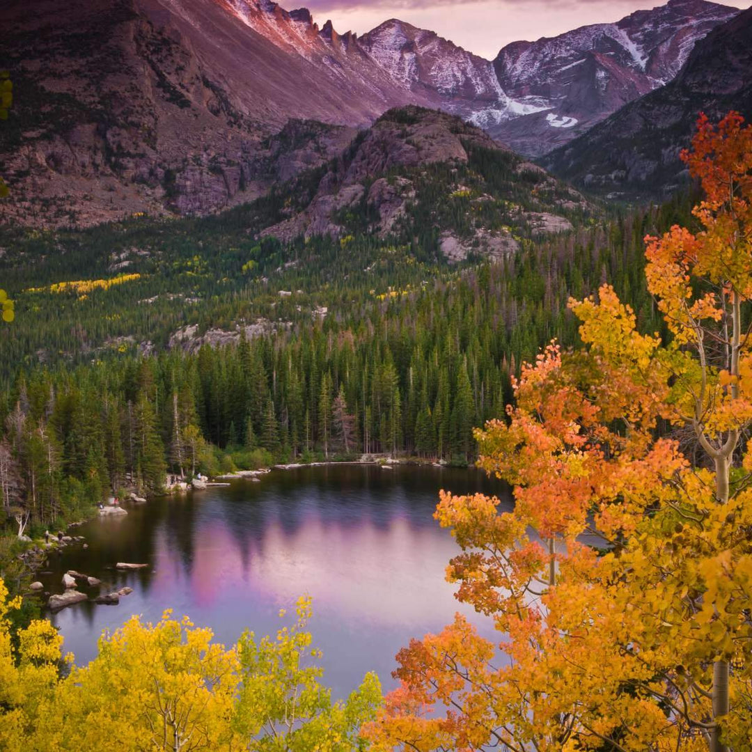 Reflection Of Trees On Water Of Seventh Lake Wall art by Chris Murray ...