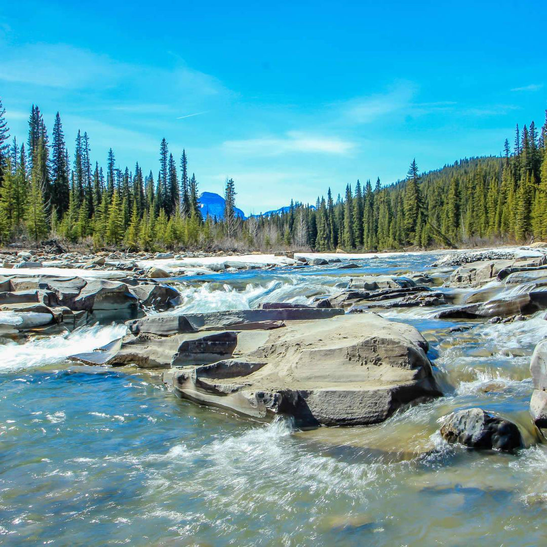 Secret River Wall art by Sue Schlabach | Elephant Stock