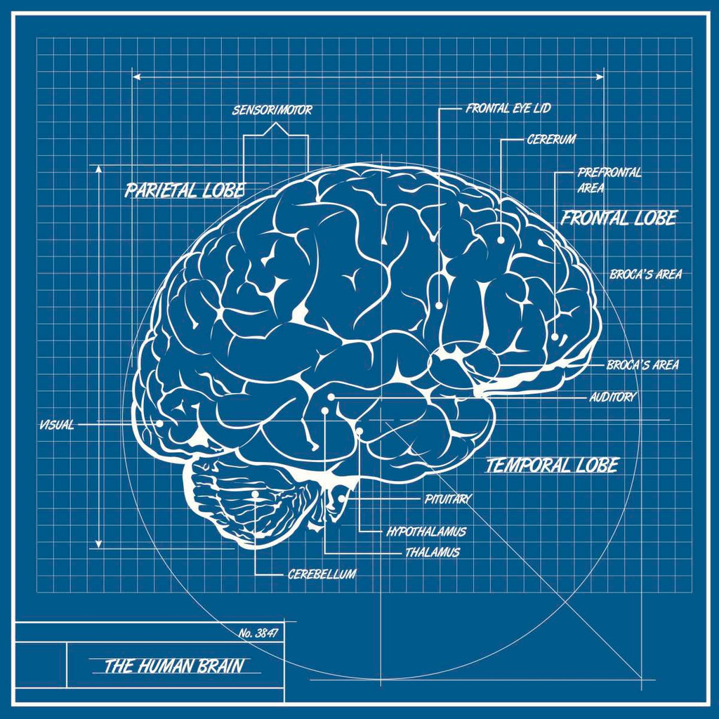 Biology Education Wall Art | Prints, Framed Prints And Multi Panel Art