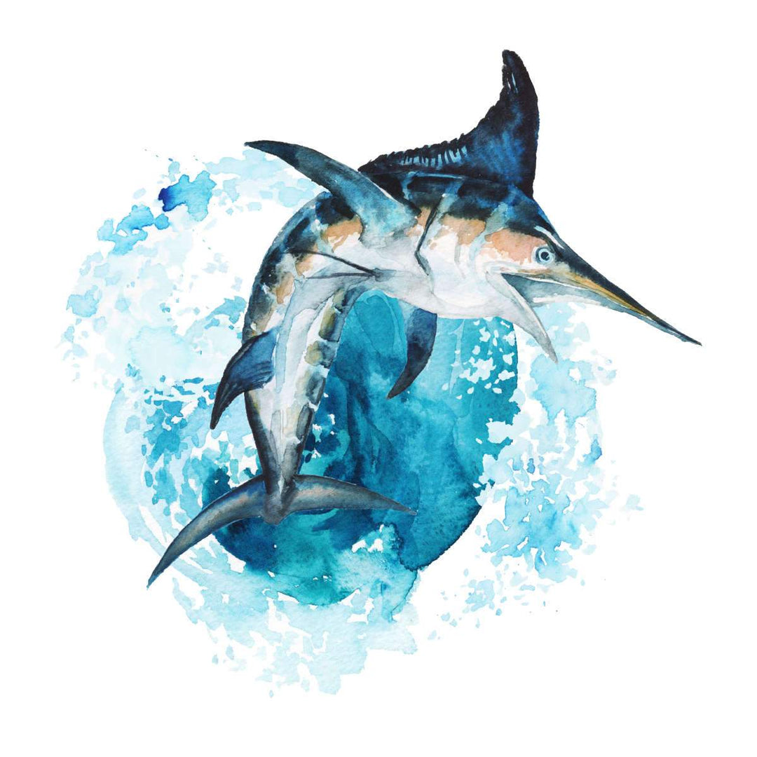 Shoal Of Yellowfin Tuna Wall art | Elephant Stock