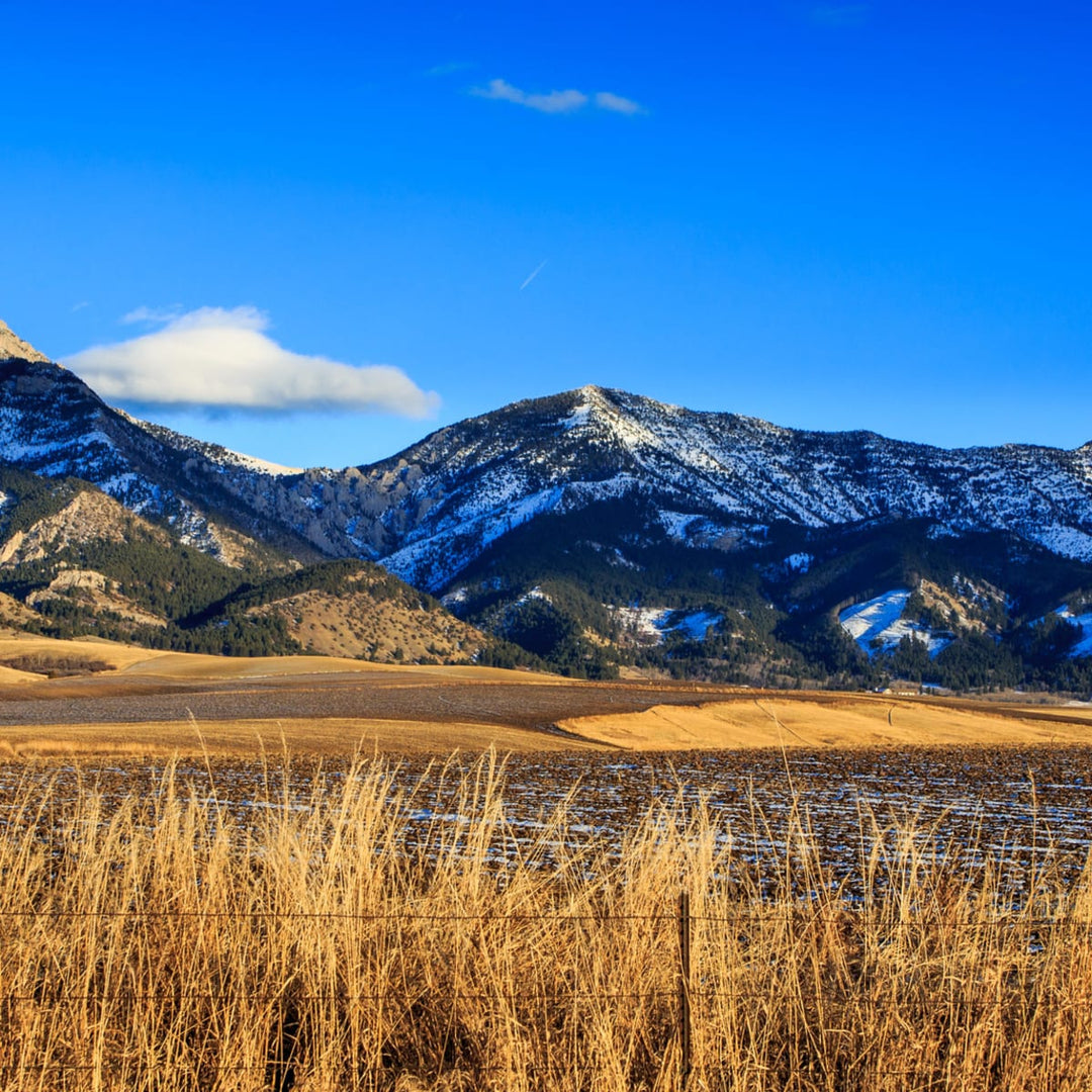 Bridger Mountains Sunset - Bozeman MT USA Wall art by Richard Day ...