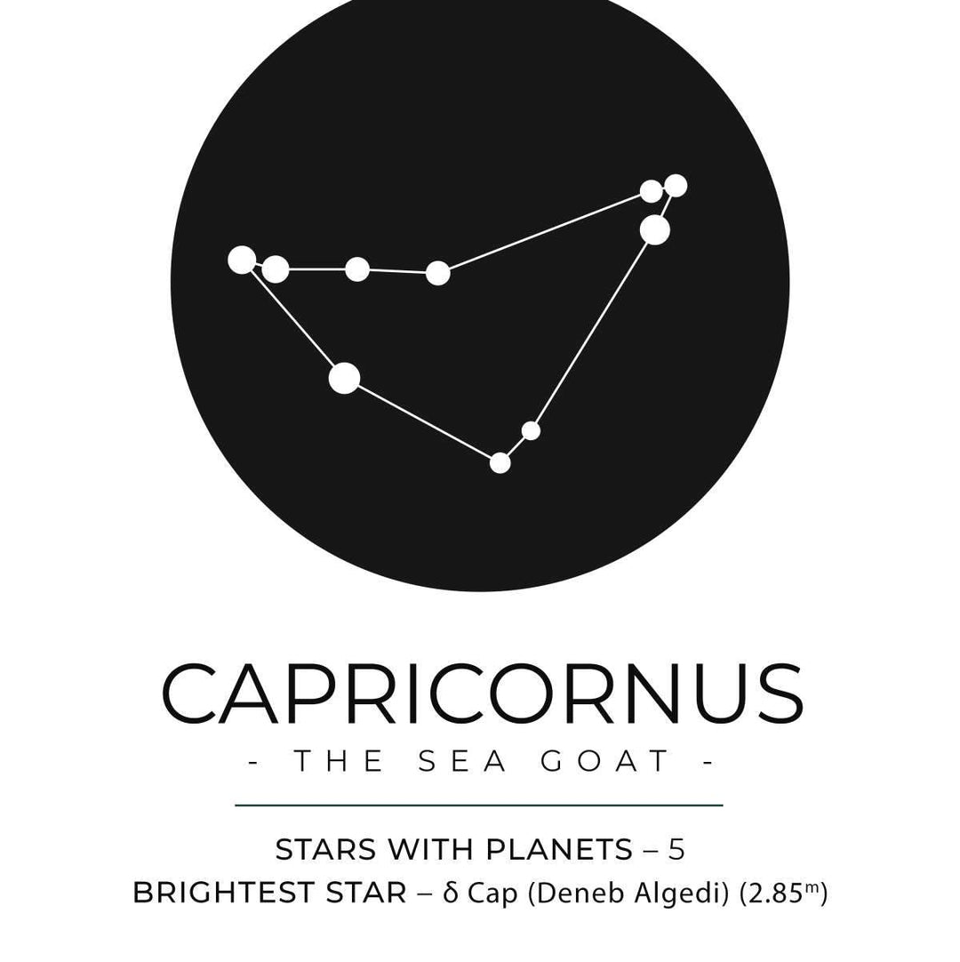 Vintage Taurus Constellation Wall art | Elephant Stock