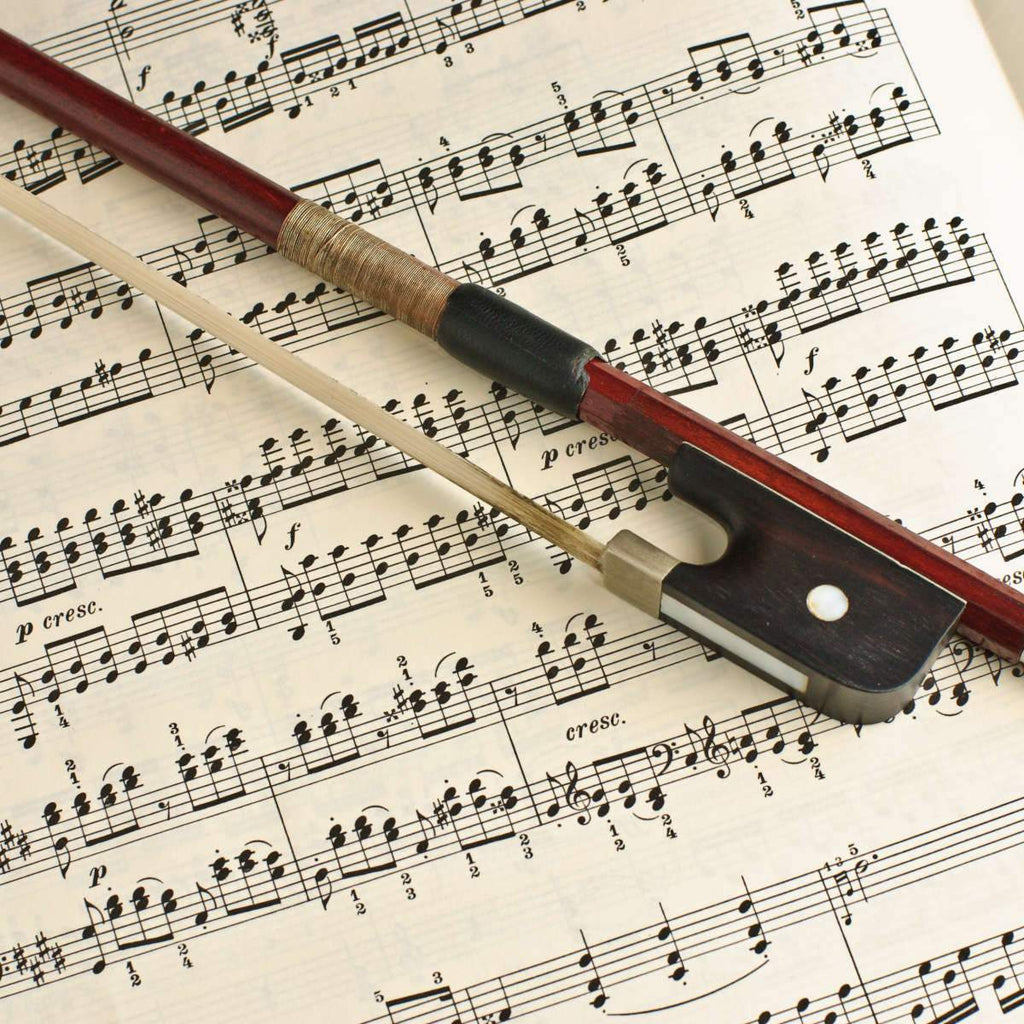 Cello Wall Art | Prints, Framed Prints And Multi Panel Art