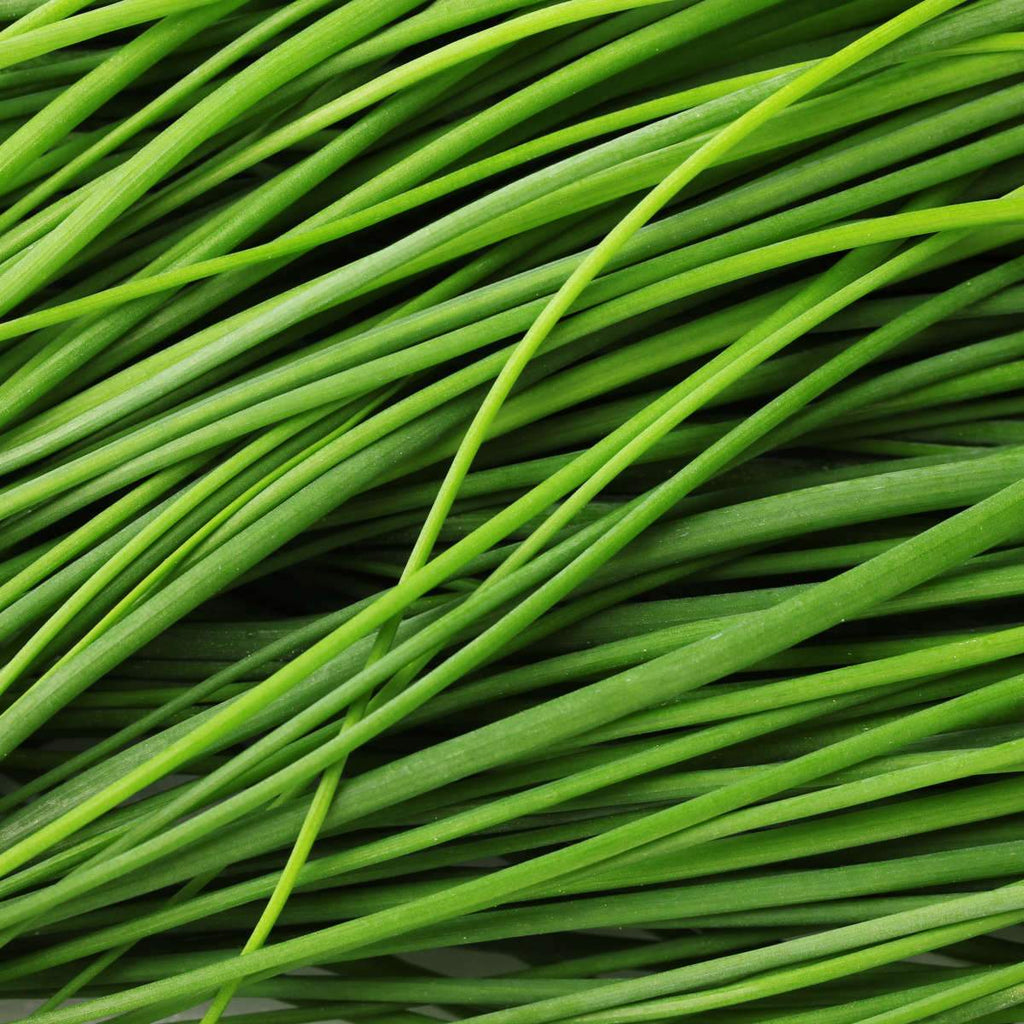 Chives Wall Art | Prints, Framed Prints And Multi Panel Art