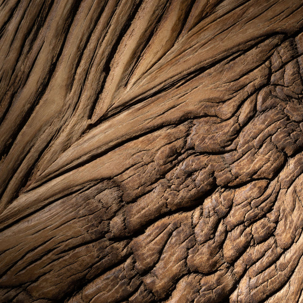 Circus Peanut Wall Art | Prints, Framed Prints And Multi Panel Art