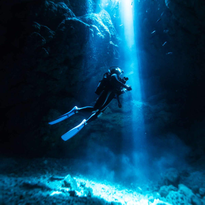 Scuba Diving Wall art | Elephant Stock