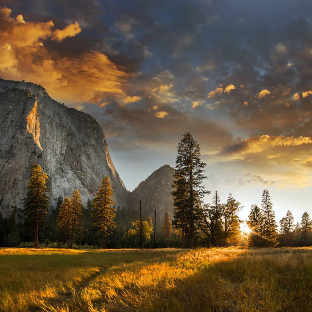 El Capitan Wall Art | Prints, Framed Prints And Multi Panel Art