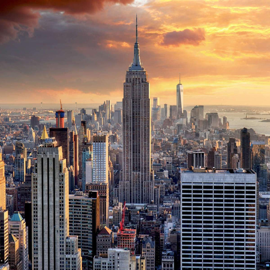 Cartoon Times Square Wall art | Elephant Stock