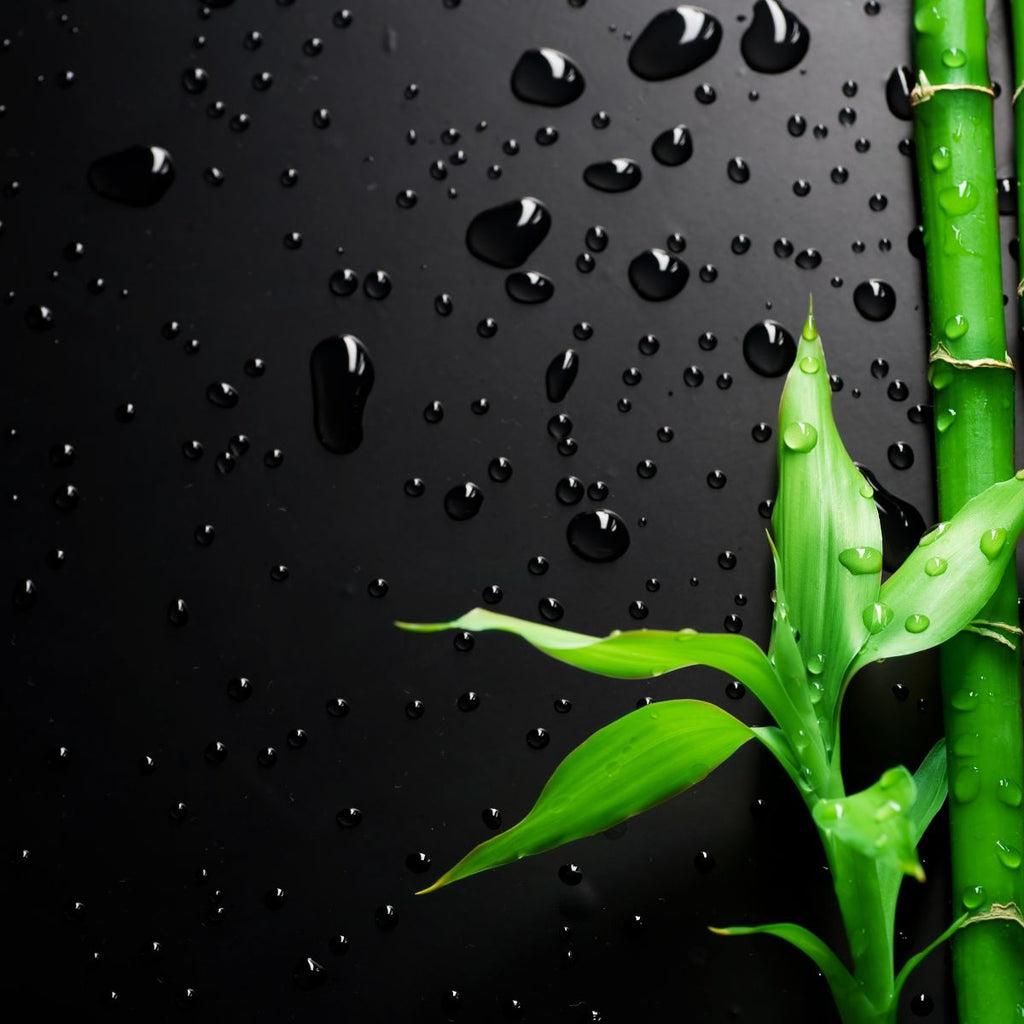 Feng Shui Wall Art | Prints, Framed Prints And Multi Panel Art