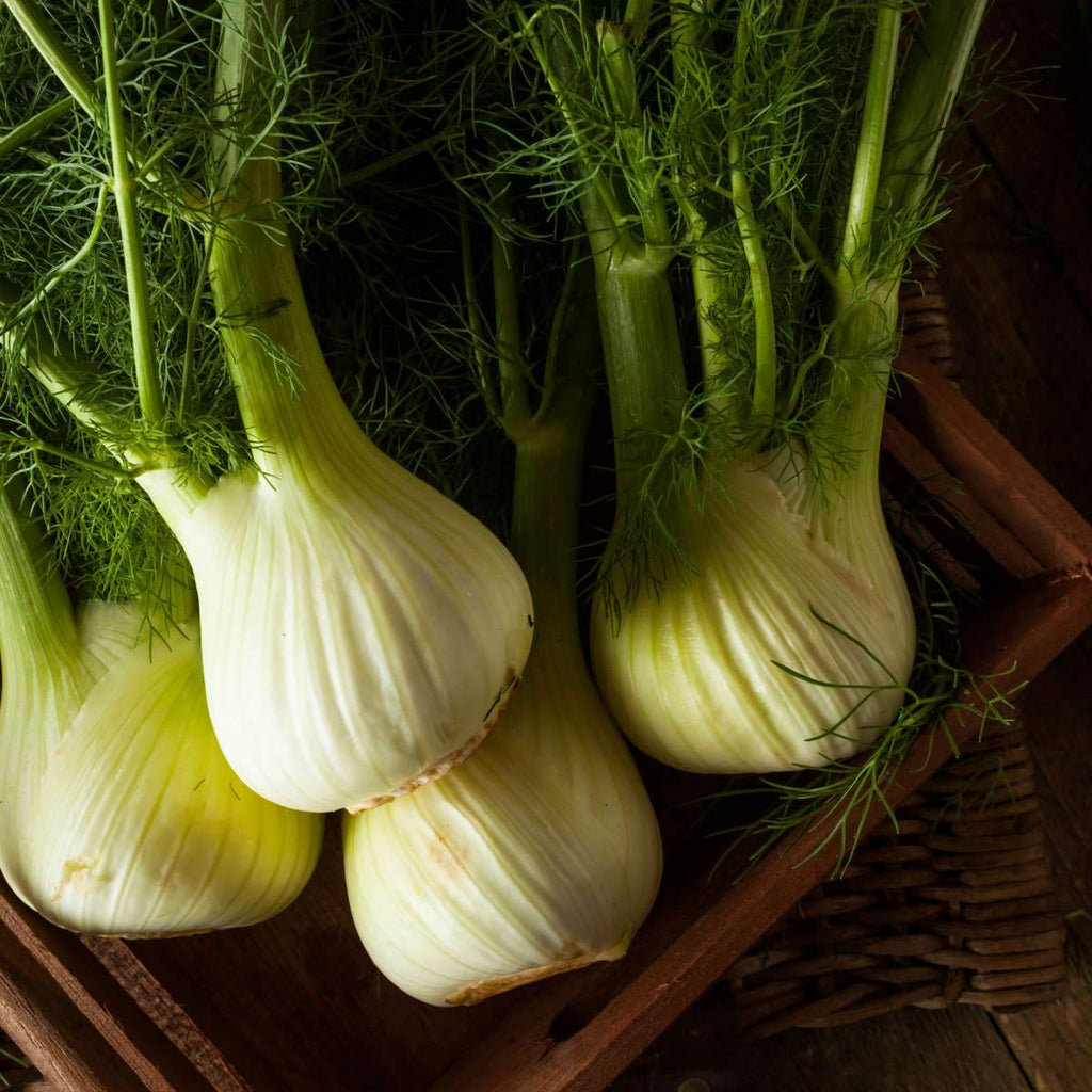 Fennel Wall Art | Prints, Framed Prints And Multi Panel Art