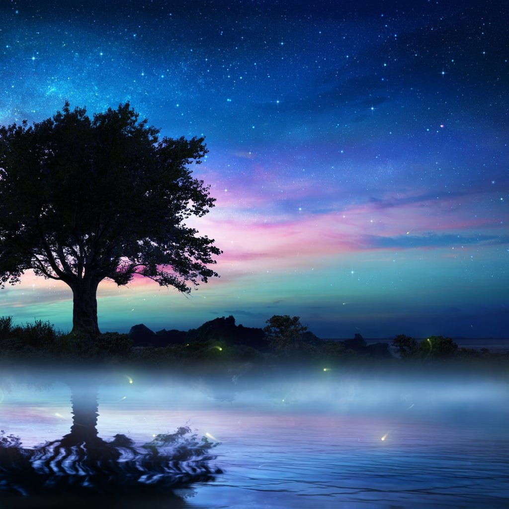 Firefly Wall Art | Prints, Framed Prints And Multi Panel Art