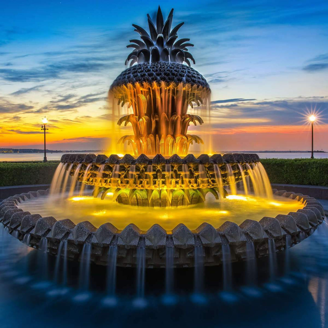 Sleeper Wall art by Timothy Easton | Elephant Stock