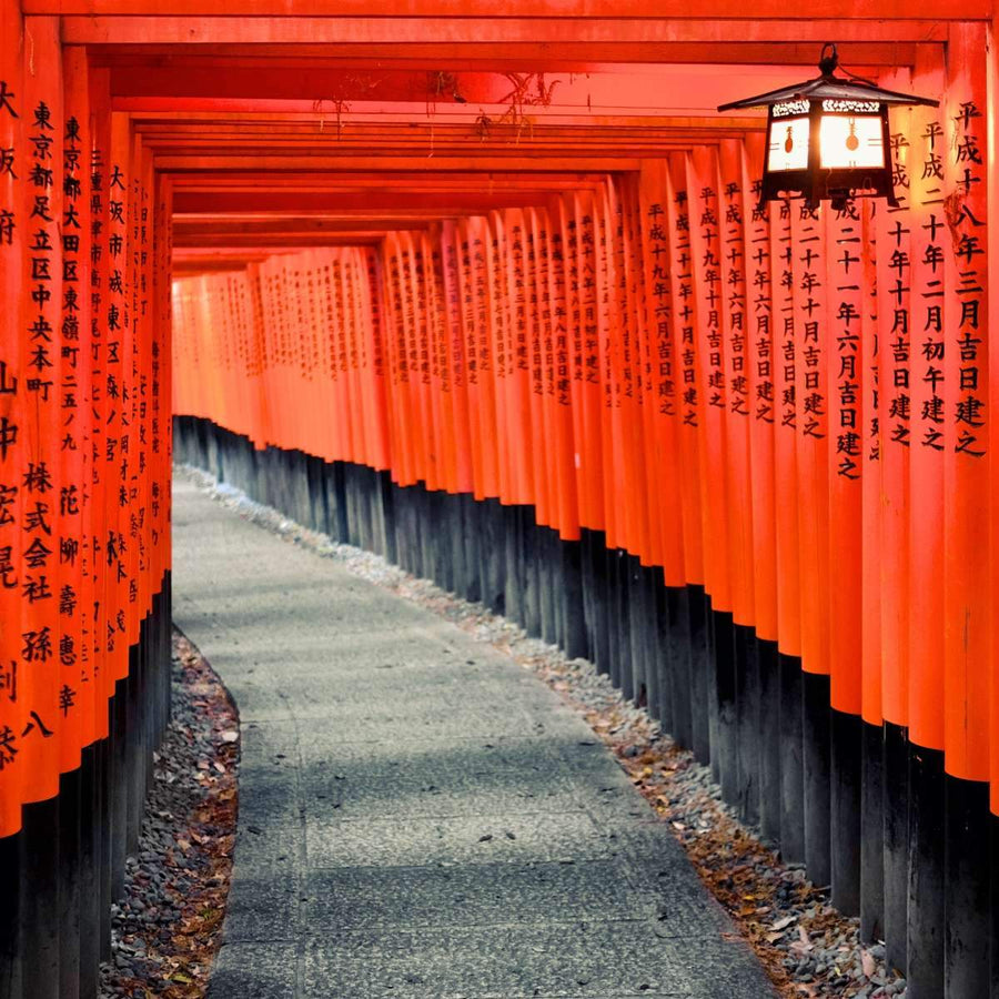 Takenaka Inari Shrine In Kyoto Japan Wall art by Collezione Panoramica ...