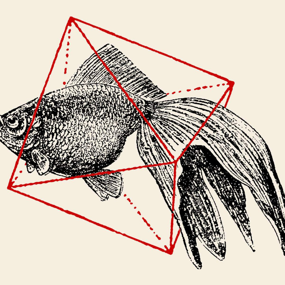 Frowning Fish Wall art by Tim Nyberg | Elephant Stock