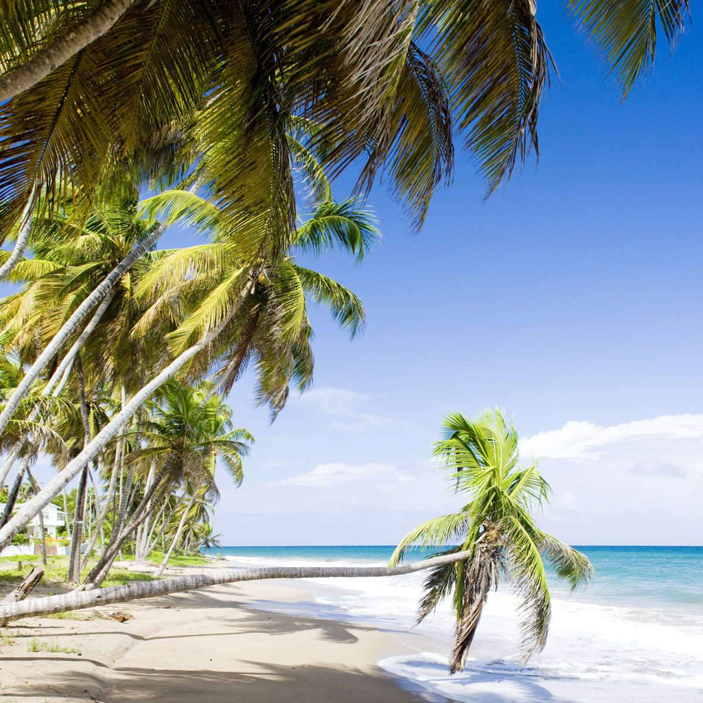 Grenada Beach Wall Art | Prints, Framed Prints And Multi Panel Art