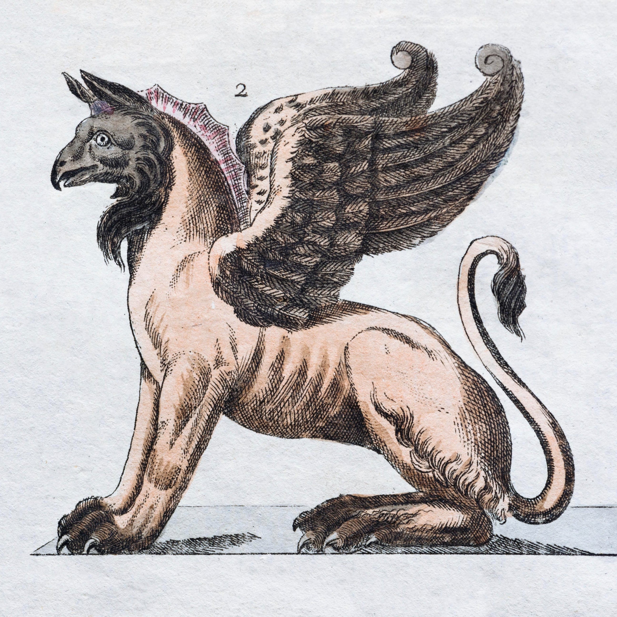 Medieval Griffin Monster Wall art | Elephant Stock