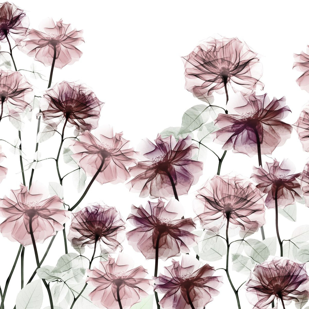 Herbarium Wall Art | Prints, Framed Prints And Multi Panel Art