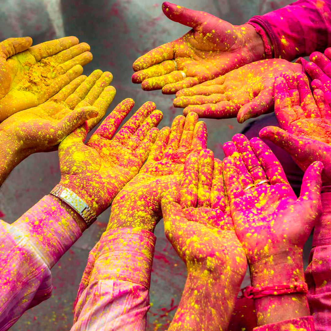 Indian Festival Of Colors Wall art | Elephant Stock