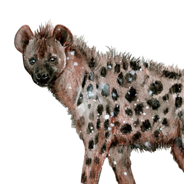 Hyena Wall Art | Prints, Framed Prints And Multi Panel Art