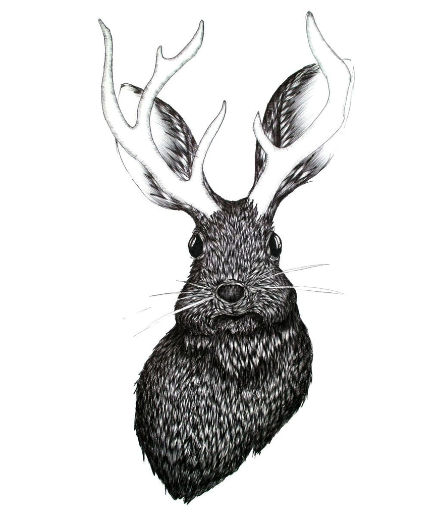 Jackalope Wall Art | Prints, Framed Prints And Multi Panel Art