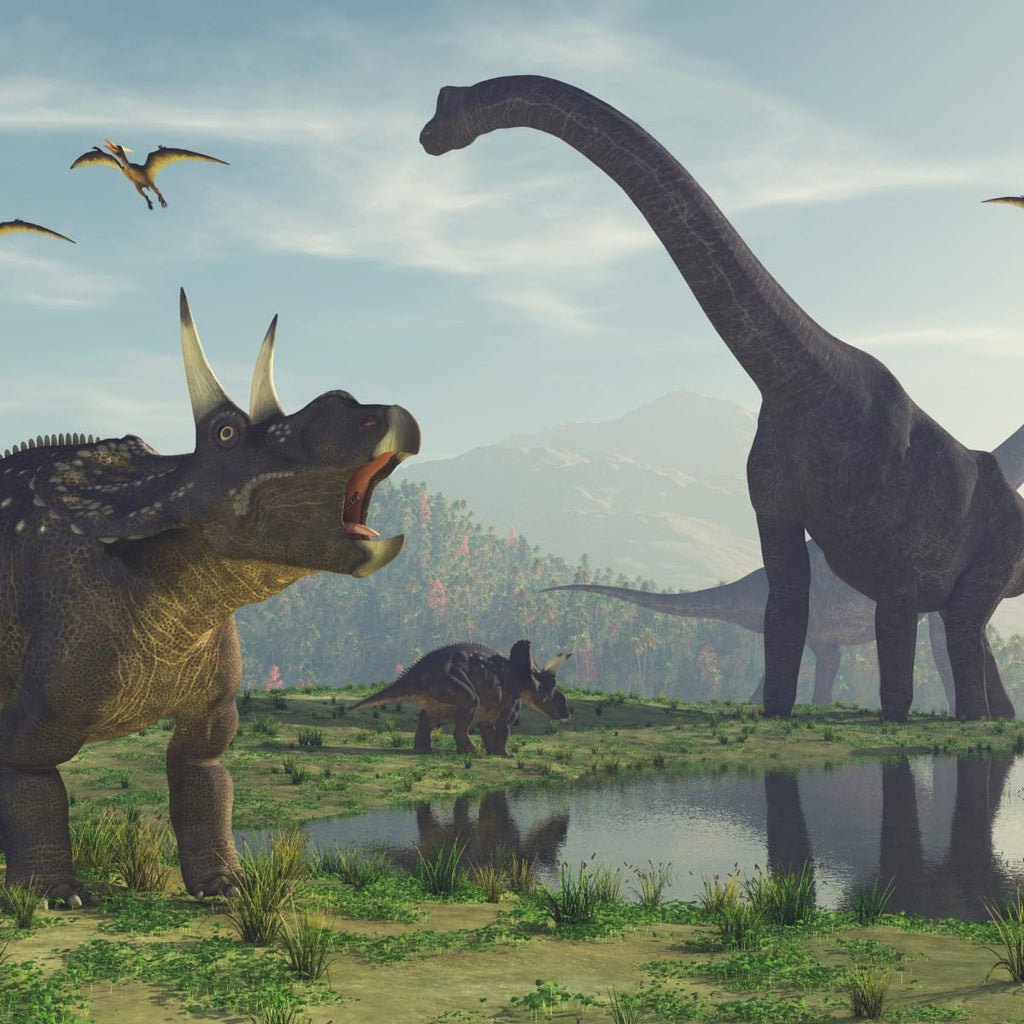 Jurassic Wall Art | Prints, Framed Prints And Multi Panel Art