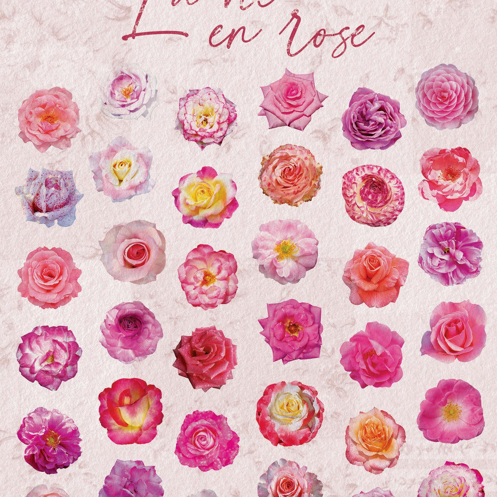 La Vie En Rose Wall Art | Prints, Framed Prints And Multi Panel Art