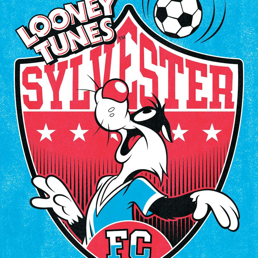 Looney Tunes Road Runner Football Wall Art: Canvas Prints, Art Prints ...