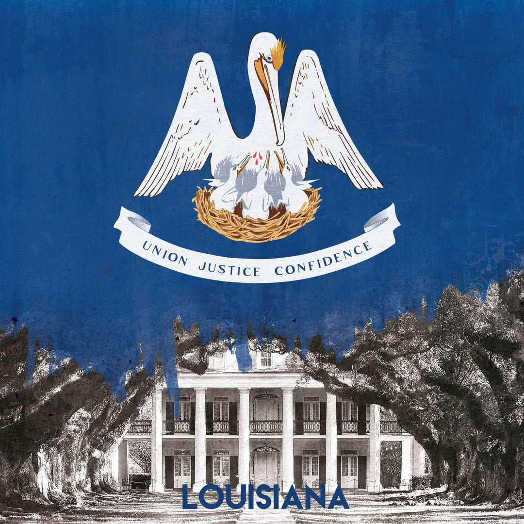 Proud US Flag Wall art | Elephant Stock