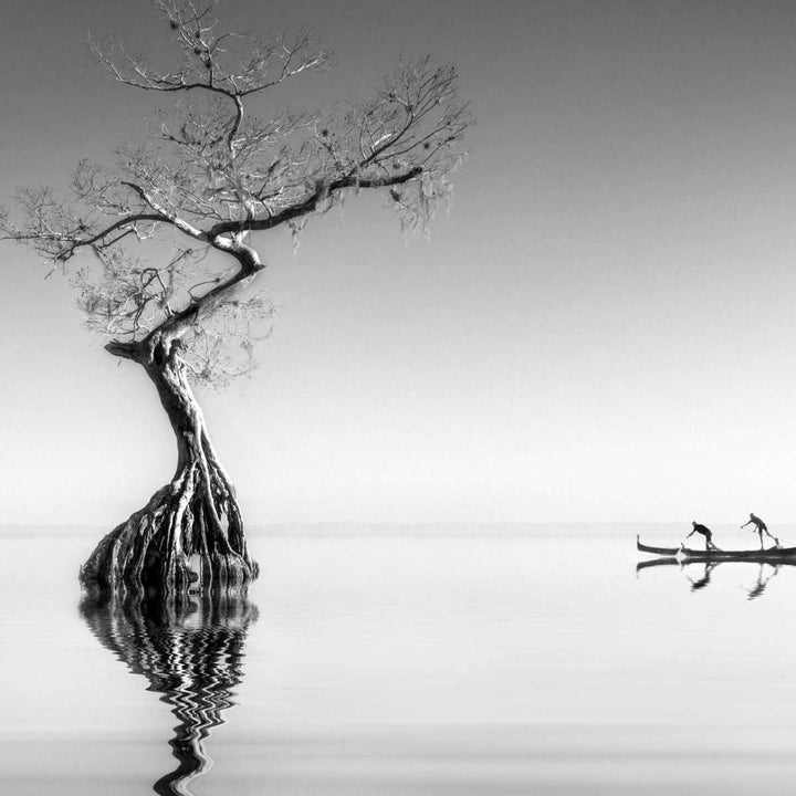 Azure Grove No. 2 Wall art by Filippo Ioco | Elephant Stock