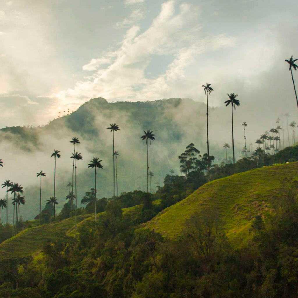 Mist Wall Art | Prints, Framed Prints And Multi Panel Art