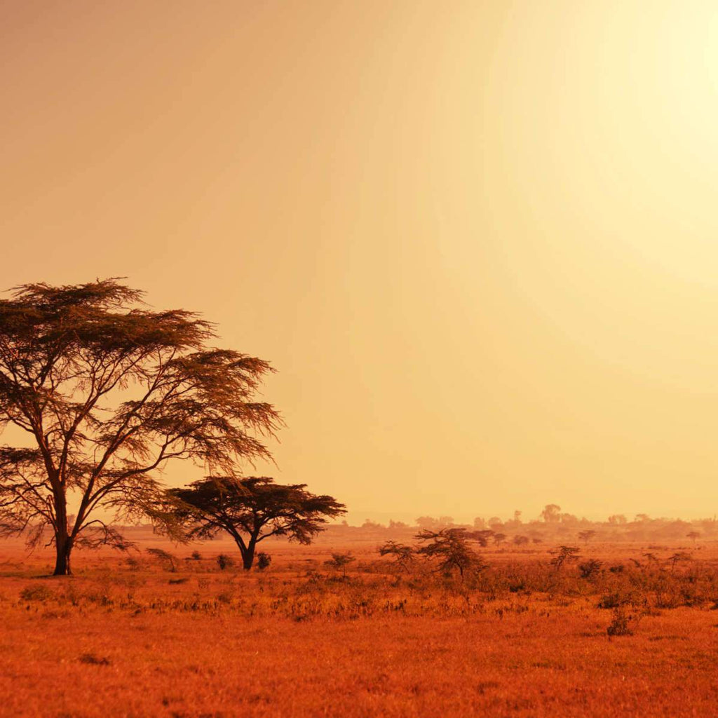 Namibia Wall Art | Prints, Framed Prints And Multi Panel Art