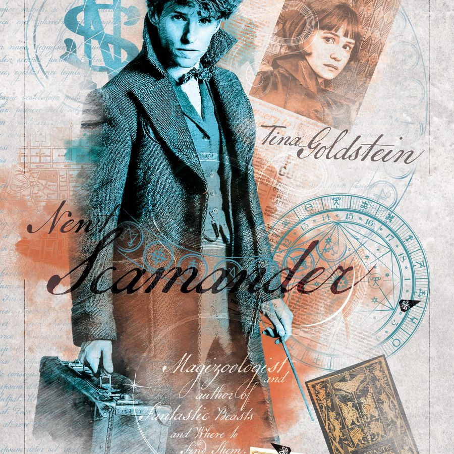 Fantastic Beasts Lally Jacob Theseus Dumbledore Newt Wall Art: Canvas ...