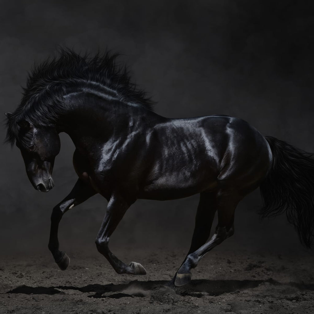 Onyx Wall Art | Prints, Framed Prints And Multi Panel Art