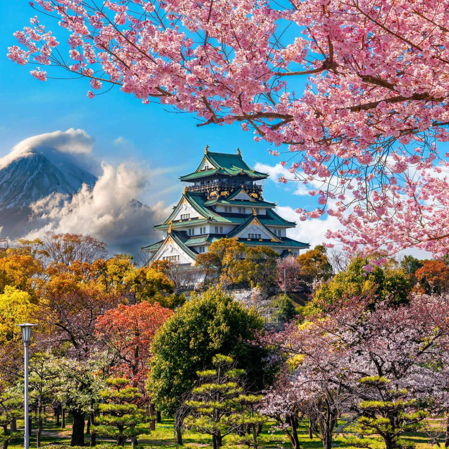 Osaka Castle Art: Canvas Prints, Frames & Posters