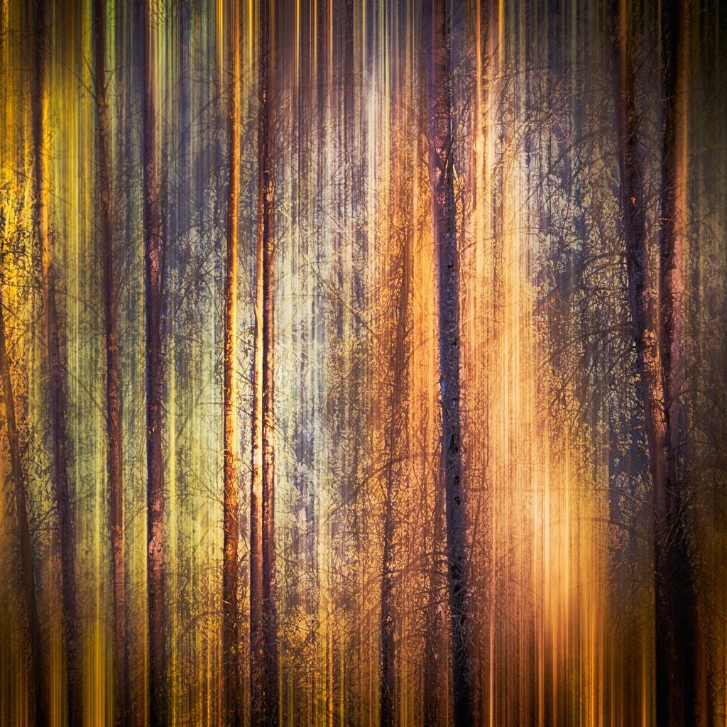 Pacific Art Group Wall Art | Prints, Framed Prints And Multi Panel Art