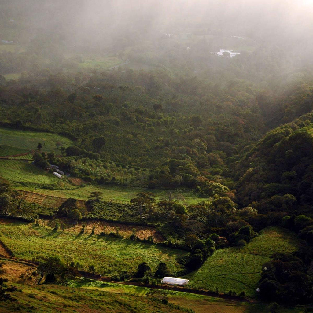 Panama Wall Art | Prints, Framed Prints And Multi Panel Art