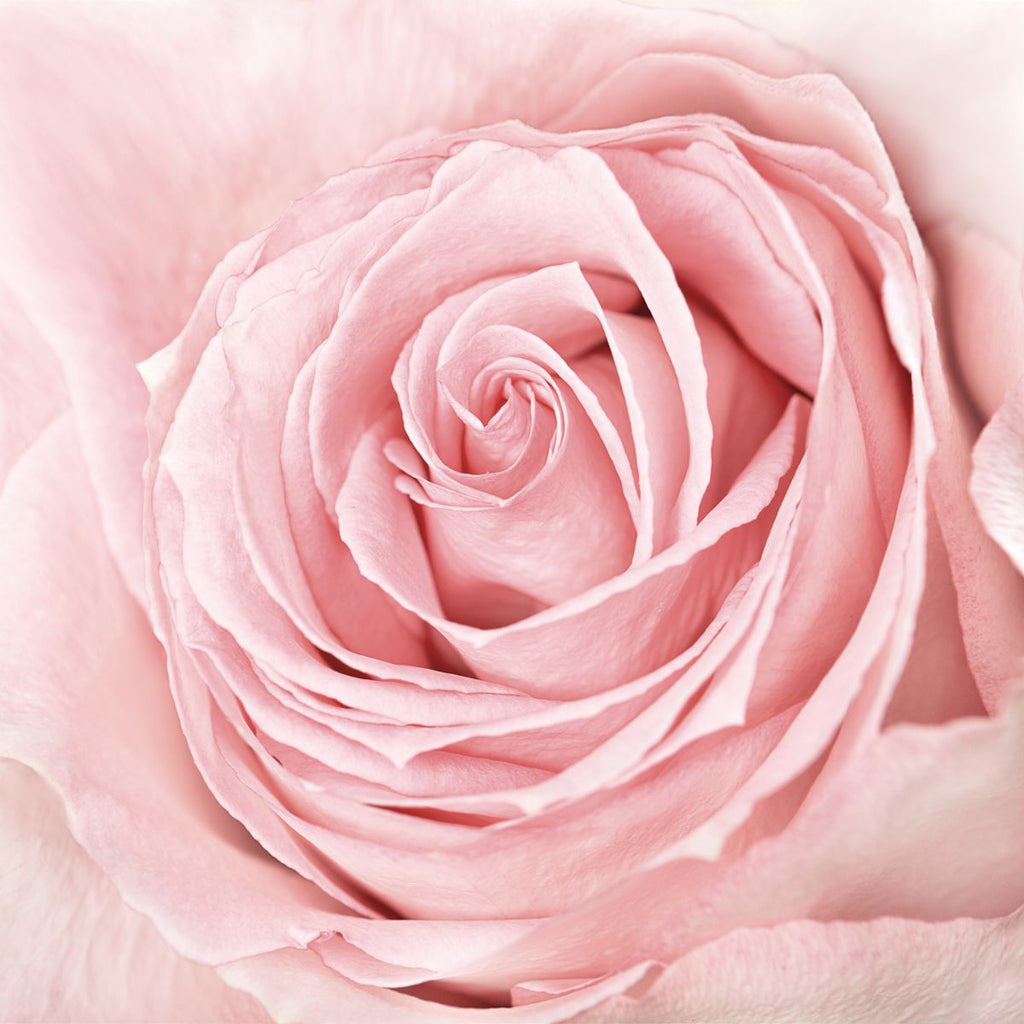 Pastel Wall Art | Prints, Framed Prints And Multi Panel Art