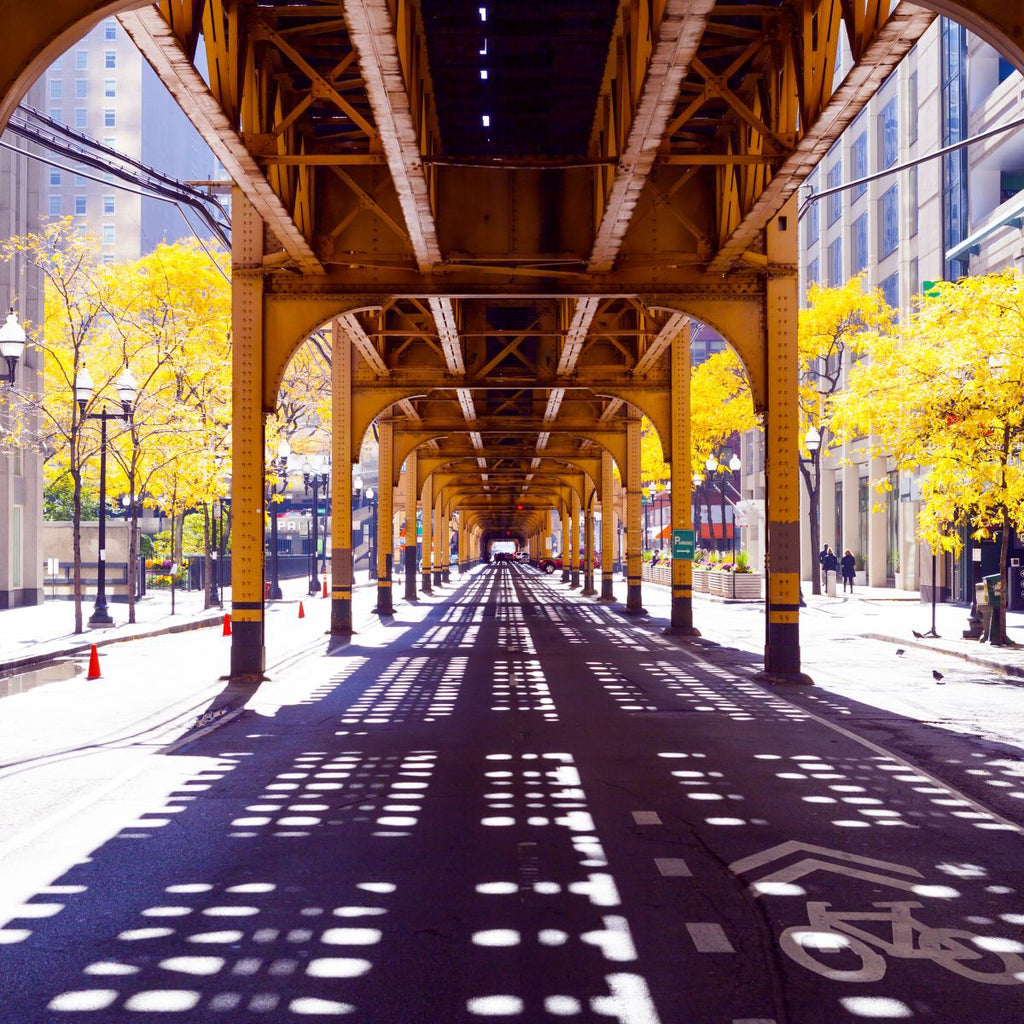 Pathway Wall Art | Prints, Framed Prints And Multi Panel Art