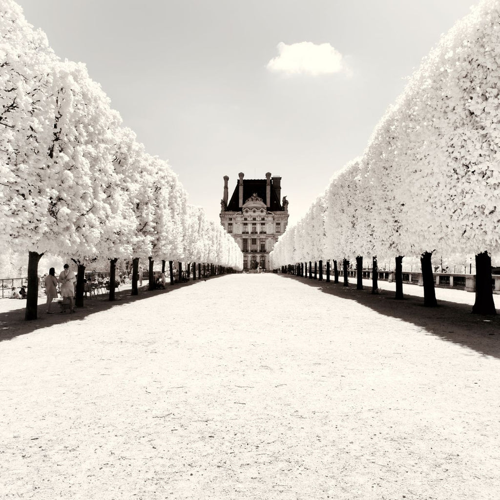 Perspective Wall Art | Prints, Framed Prints And Multi Panel Art