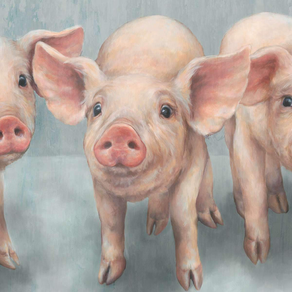 Pigs Wall Art | Prints, Framed Prints And Multi Panel Art