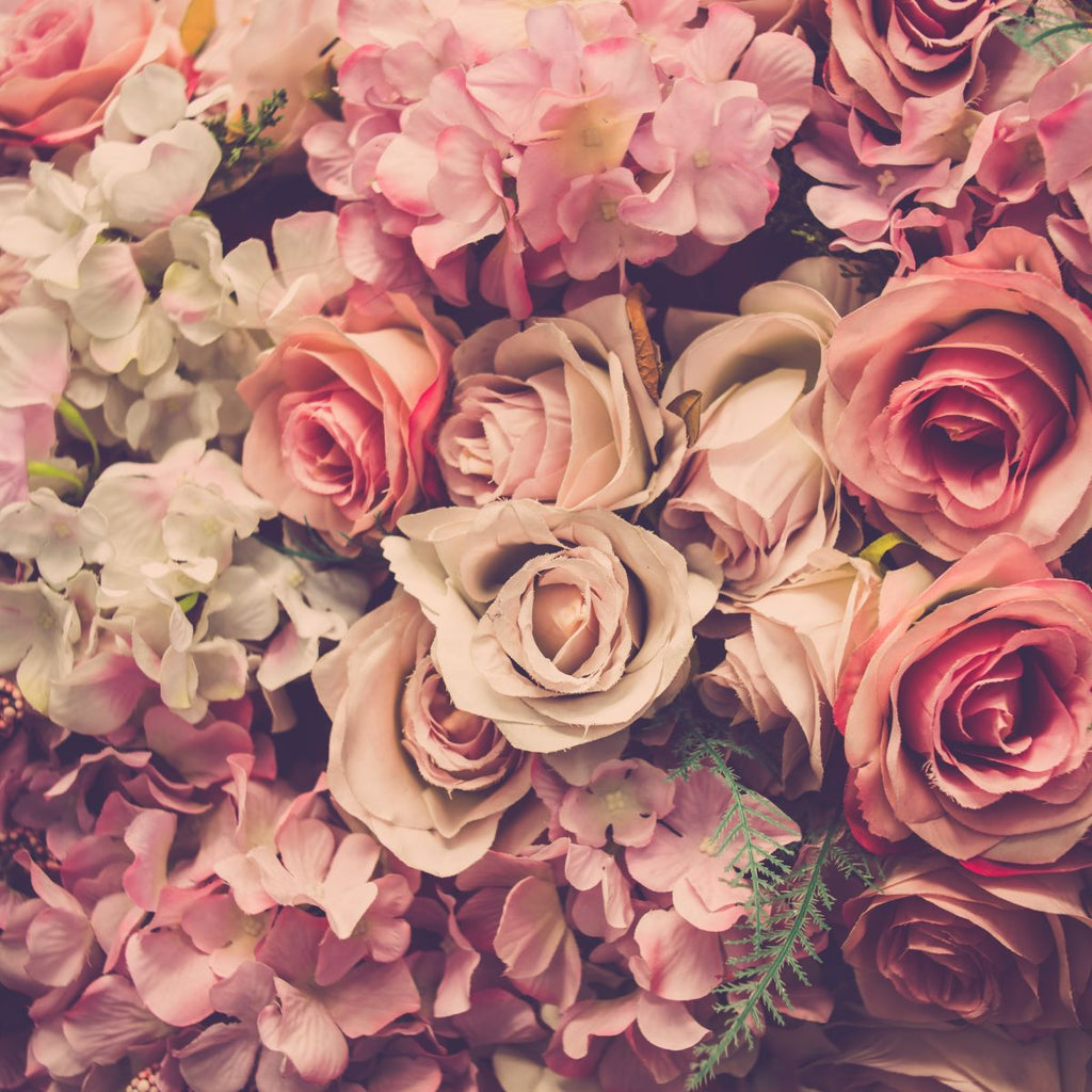 Pink Rose Canvas Wall Art | Prints