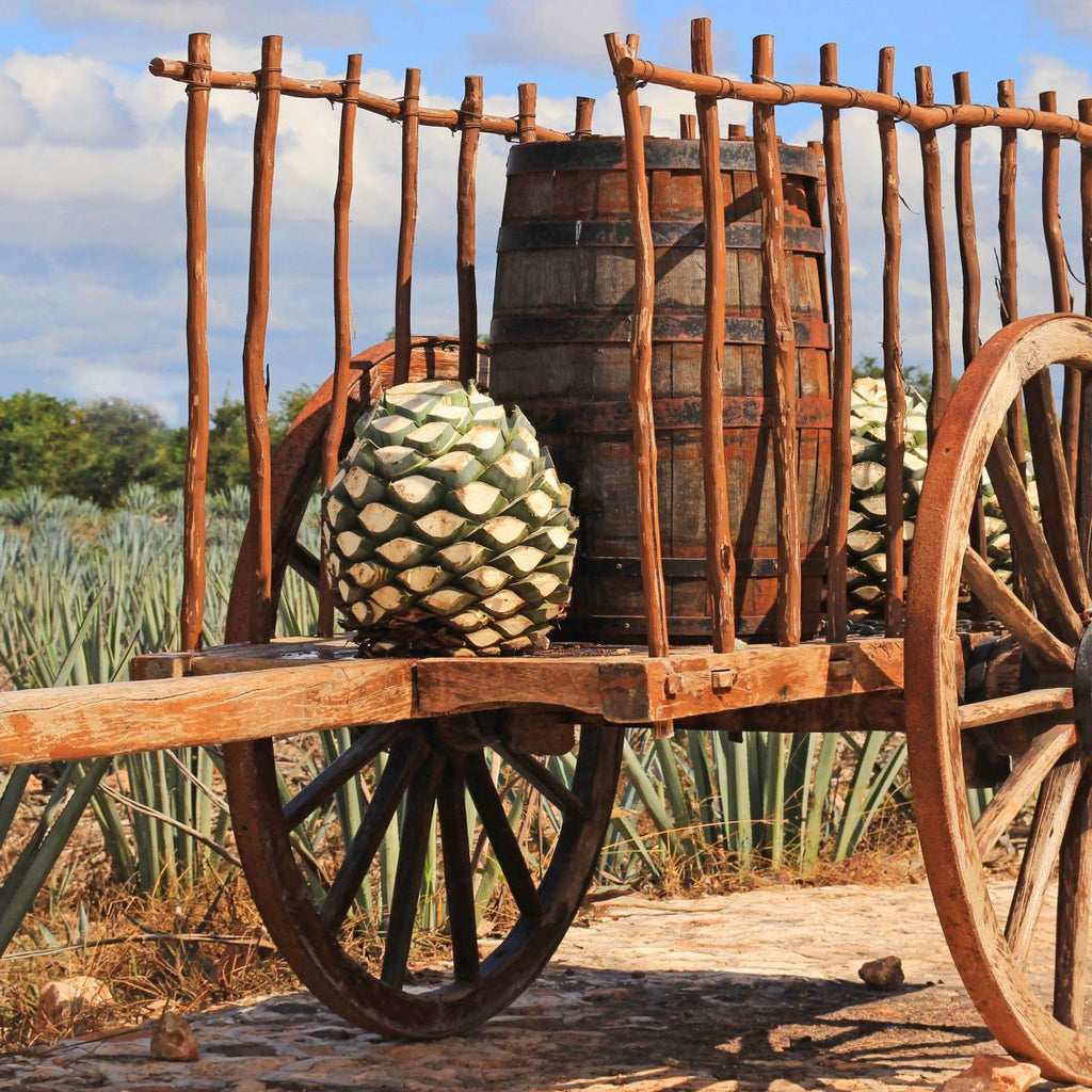 Plantation Wall Art | Prints, Framed Prints And Multi Panel Art