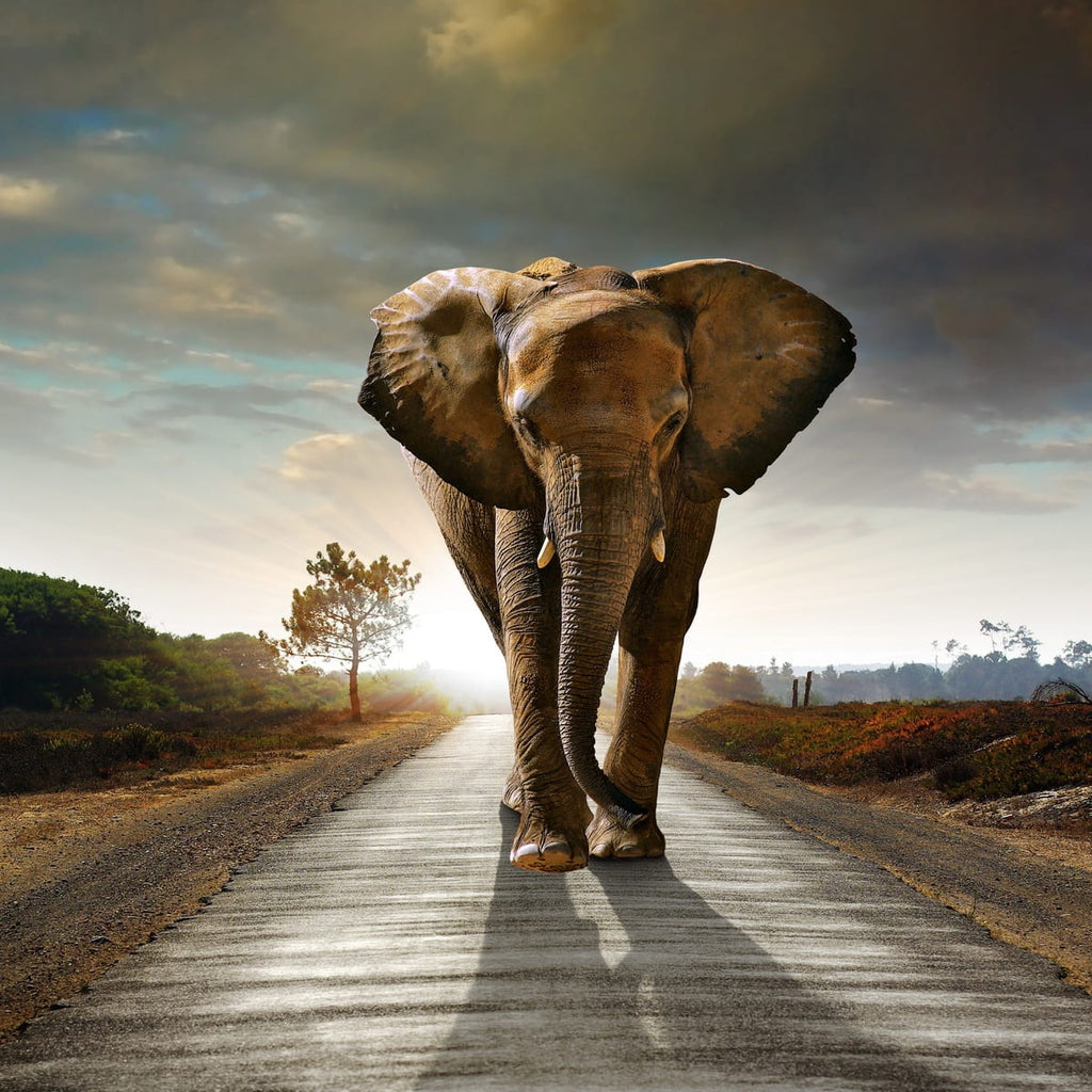 Road Wall Art | Prints, Framed Prints And Multi Panel Art