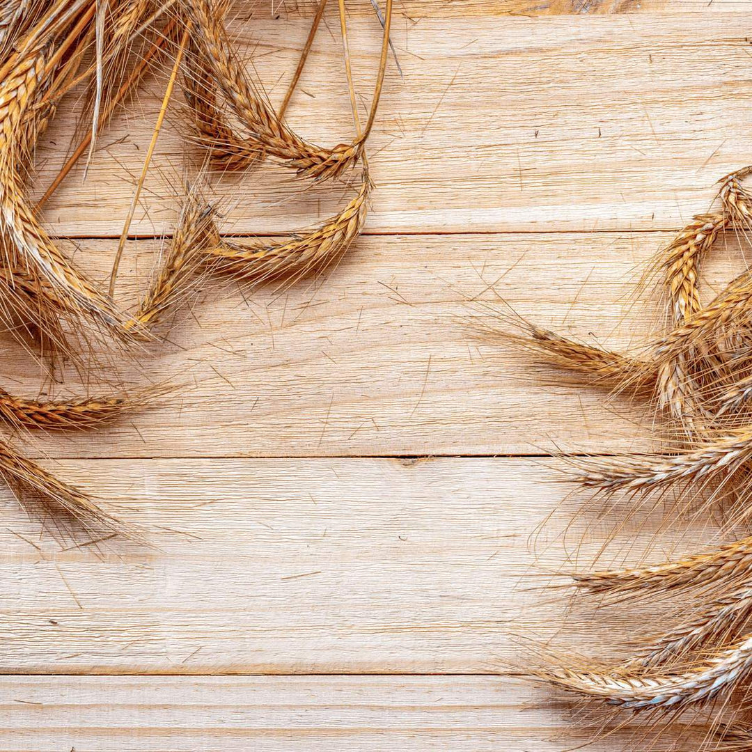 Rustic Kitchen Grains Wall art | Elephant Stock